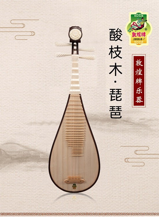 Dunhuang Collection Pipa Burmese Rosewood with Camel Bone – Sound of ...